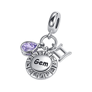 DWJSu 12 Zodiac Sign Constellation Charms fit Pandora Birthstone Charm Bracelet and Necklace Horoscope Astrology Friend Bead Birthday Gift