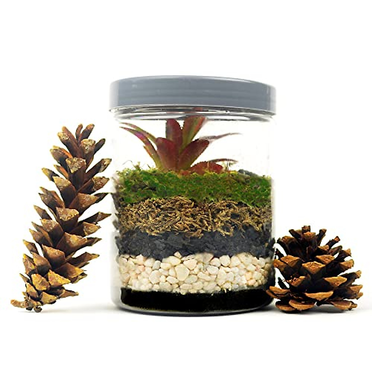 Mosser Lee ML1122 Pearl Stone Soil Cover, 5 lb.