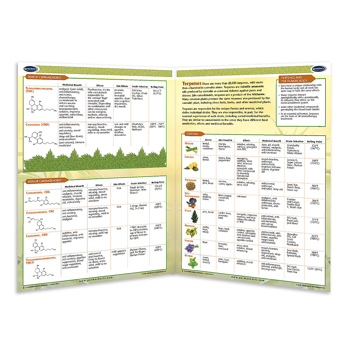 CBD Educational Charts - 8 Chart Bundle - Quick Reference Guides - Cannabinoid Educational Series by Permacharts