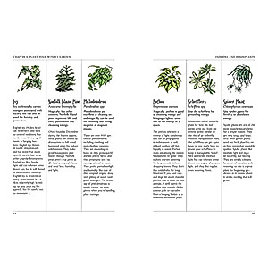 The Green Witch's Garden: Your Complete Guide to Creating and Cultivating a Magical Garden Space (Green Witch Witchcraft Series)