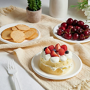 Vplus 100% Compostable Small Paper Plates, 300 Pack 6 Inch Disposable Paper Plates, Uncoated Biodegradable Plates Made of Sugar Cane Fibers, Perfect for Sandwich, Cake, and Snack