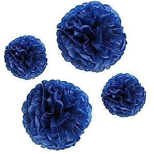 1st Birthday Boy Prince Party Supplies Navy Gold Birthday Party Decorations Blue Happy Birthday Banner Paper Star Garland Paper Flowers Tissue Paper Pom Poms Paper Lanterns for Boy First 1st Birthday