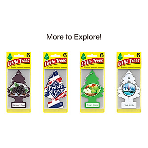 LITTLE TREES Air Fresheners Car Air Freshener. Hanging Tree Provides Long Lasting Scent for Auto or Home. Cinnamon Apple, 24 Air Fresheners