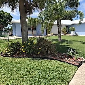 Grass Barrier - Landscape Edging - 10" inch Depth - (80 feet)