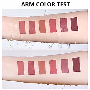 DAGEDA 6Pcs Velvet Wine Lip Tint, Matte Lipstick Velvety Lip Makeup Set, Highly Pigmented Liquid Lipstick, Non-stick Cup Lip Makeup Kit for Girls Women(B Set)