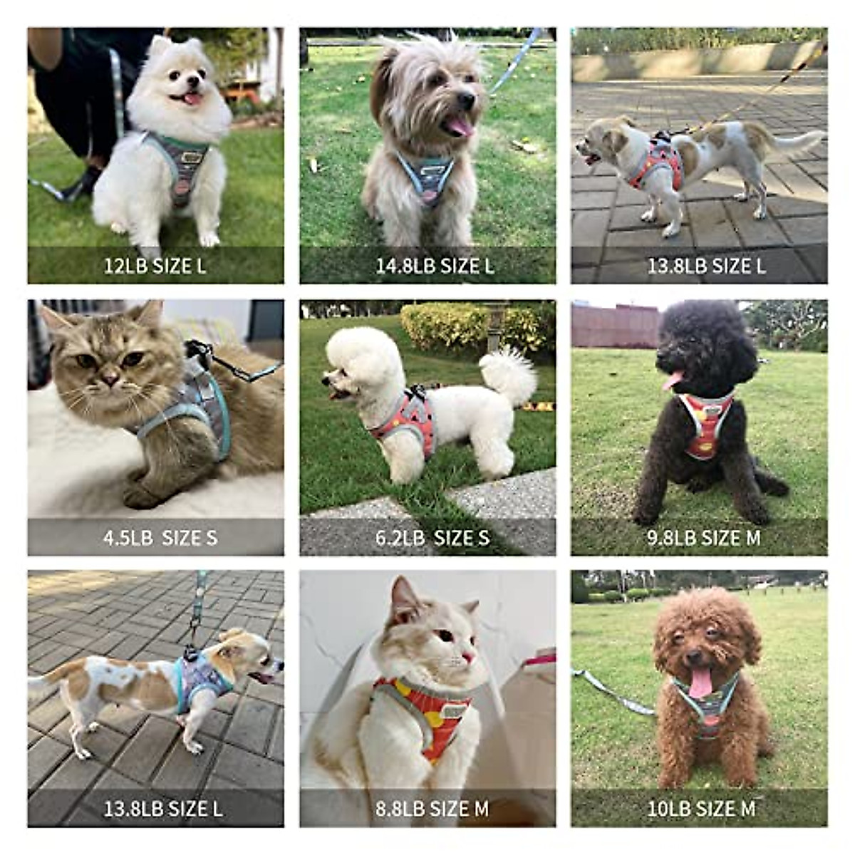 Pet Dog Harness, Walk-in Small Dog Harness and Leash Set, Soft and Non-Deformable Puppy Vest + 1.8m Dog Leash, Anti-Escape Puppy Kitten Harness, Suitable for Outdoor Walking of Cats and Small Dogs…