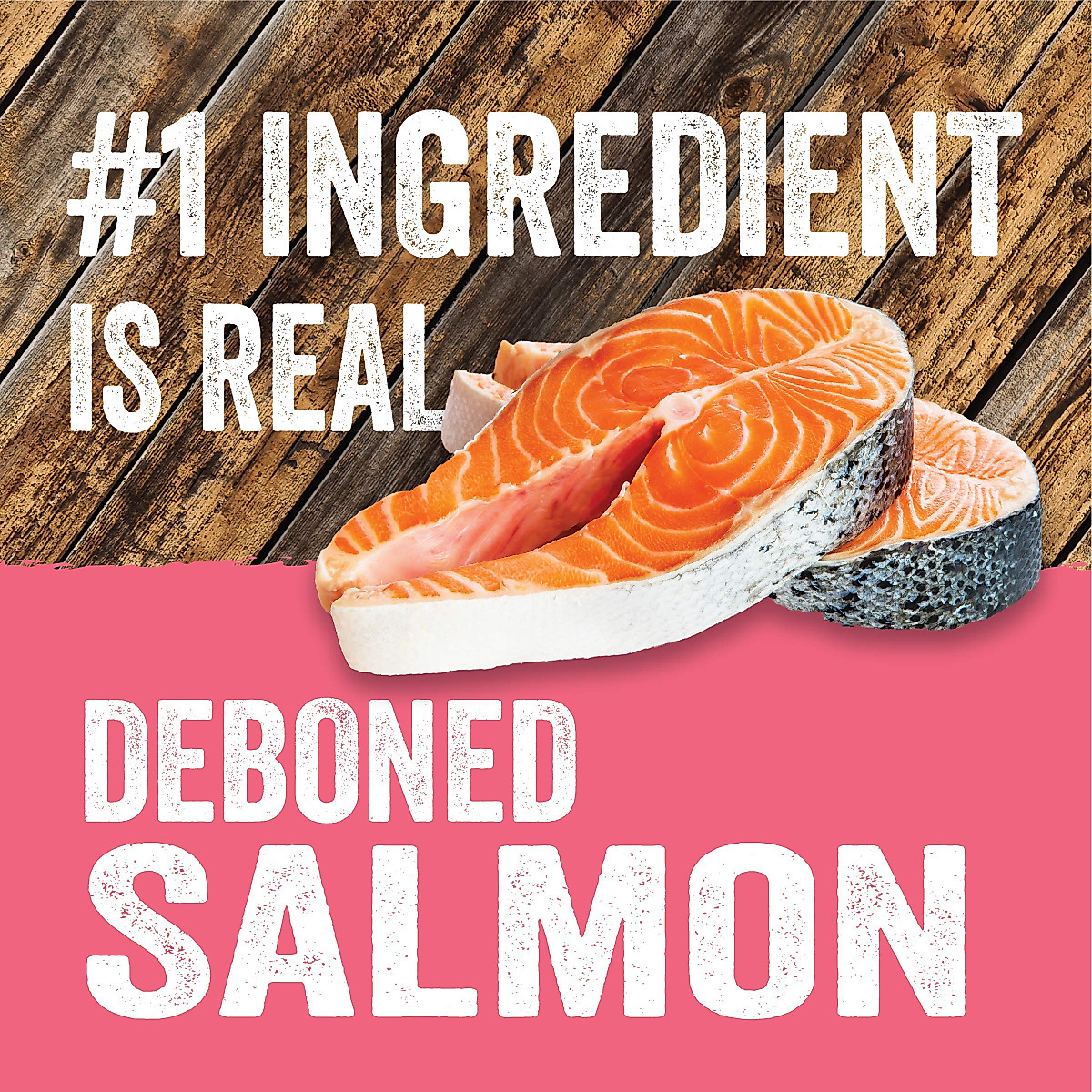 Evolve Grain Free Deboned Salmon & Sweet Potato Recipe Dog Food, 3.5 lb.