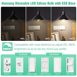 Hansang Dimmable Edison Light Bulbs E26 LED Bulb 60 Watt Equivalent, 4000K Natural Daylight Vintage Light Bulbs E26 Standard Base, Antique ST58 6W LED Filament Bulb,CRI 85+, Clear Glass, 700LM, 6 Pack