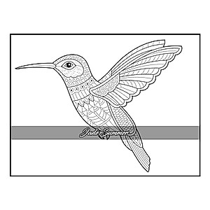 100 Animals: An Adult Coloring Book with Lions, Elephants, Owls, Horses, Dogs, Cats, and Many More!