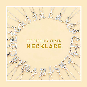 AEONSLOVE B Initial Necklace Sterling Silver Letter B Necklace Alphabet Pendant Cadena de Plata 925 Para Mujer with Cubic Zirconia Letter Jewelry Gifts for Women Daughter Mother Teen Wife Aunt Sister