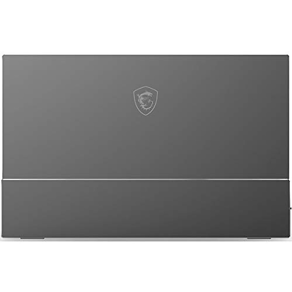 MSI Frameless Bezel Glass Surface 1920 X 1080 USB/HDMI Smart Cover Included IPS Portable Monitor (Optix MAG161V),Black