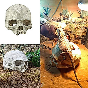 Horolas Fish Tank Decorations, Aquarium Skull Artificial Skeleton Decoration Cave Landscape Pet Reptile House