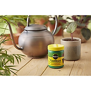 Miracle-Gro FastRoot1 Dry Powder Rooting Hormone: Houseplant and Succulent Propagation, for Rooting House, Foliage, Tropical, and Hardy Ornamental Plants, 1.25 oz