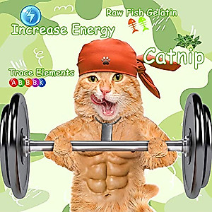 Nuanchu 12 Pieces Cat Snacks Candy Ball Lickable Sugar Ball Edible Catnip Cat Toy Balls Kitten Licking Sweet Ball Cat Treats Candy Ball for Cat Kitten Playing Licking (Green)