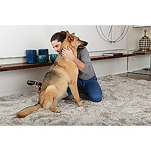 B-Cure Cold Laser Therapy Device for Dogs, Cold Vet Device for Pets & Infrared Light Therapy for Pain Relief, Muscle & Joint Pain, Suitable for Dogs, Cats, Horses and Other Animals