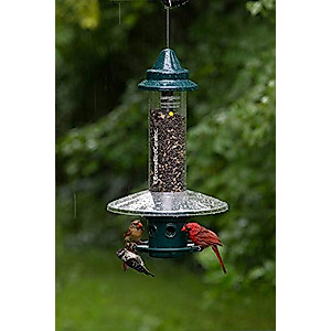 Weather Guard for Squirrel Buster Plus Bird Feeder (FEEDER NOT INCLUDED)