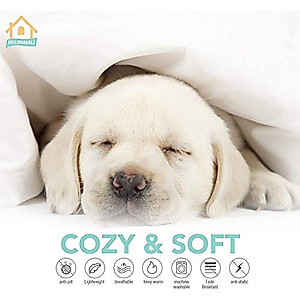 Phoenixsure Throw Blanket Arizona Desert Landscape with Siguaro Cactus in Silohouette Soft Warm Lightweight for Cozy Couch Bed and Plush Home Decor 50x60 Inches