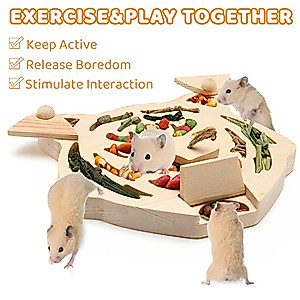 Sieral Wooden Enrichment Foraging Toy for Small Pet 7.7''x 7.1'' Interactive Hide Treats Puzzle Rabbit Toys Small Animal Toys Mental Stimulation Toys for Guinea Pig Hamster Bunny Rat Chinchilla