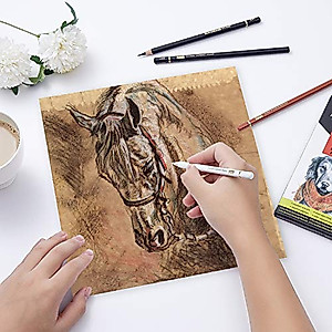 MARKART Professional Charcoal Pencils Drawing Set 10 Pieces Colour Charcoal Pencils for Drawing, Sketching, Shading, Blending, Sketch Highlight White Pencils for Beginners & Artists