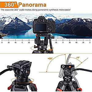 Heavy Duty Tripod Professional Video Tripod Aluminium 72inch with 360 Degree Fluid Head for Canon Nikon DSLR Camcorder Cameras