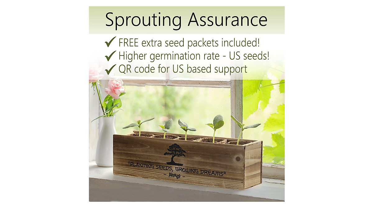 AVERGO Bonsai Tree Kit: Grow 5 Unique Japanese Bonsai Trees