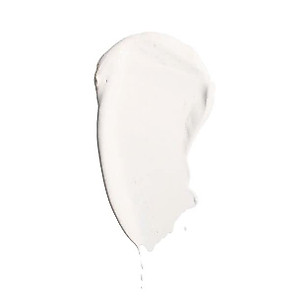 Jerome Alexander My Color Self Adjusting Full Coverage Foundation Makeup with Kabuki Brush (Medium)