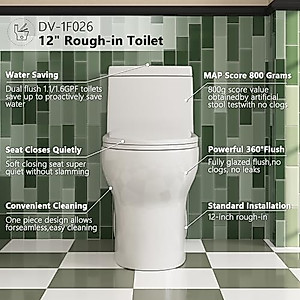 DeerValley DV-1F026 Ally Dual Flush Elongated Standard One Piece Toilet with Comfortable Seat Height, Soft Close Seat Cover, High-Efficiency Supply, and White Finish Toilet Bowl (White Toilet)