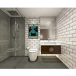 Black Cat Are You Pooping Funny Tin Signs Bathroom Wall Decor 8 x 12 Inch (918)