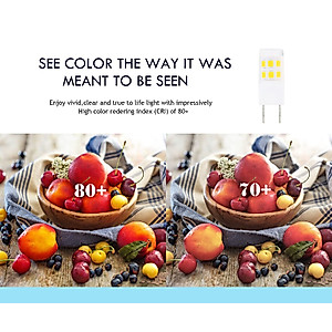 Lamsky G4 LED Bulb, 2W, 20W Halogen Replacement, 3000K Warm White, 10-Pack, Dimmable, Dustproof, Shockproof