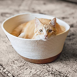 Harry Barker Woven Rope Basket Bed