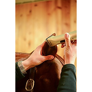 WAHL Professional Animal Arco Pet, Dog, Cat, and Horse Cordless Clipper Kit, Champagne (8786-452)