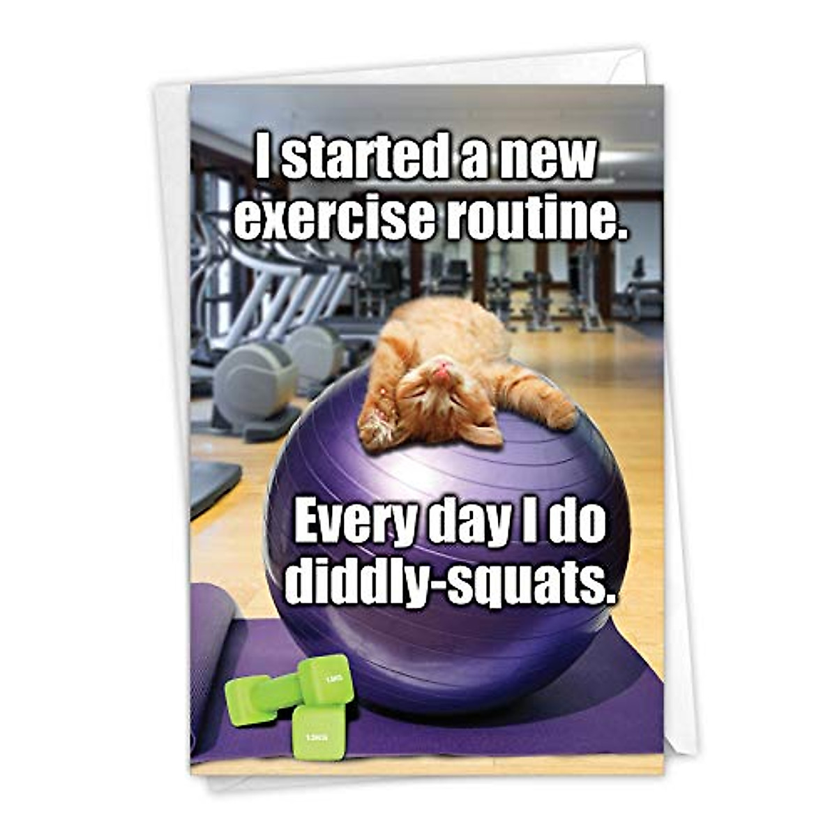 NobleWorks - 1 Happy Birthday Card with Funny Animals - Wildlife and Pet Humor, Fun Birthday Celebration Notecard - Diddly Squats C3955BDG