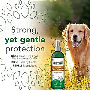 Vet's Best Anti-Flea Spray Shampoo - Dog Flea and Tick Treatment - Plant-Based Formula - Certified Natural Oils - 16 oz