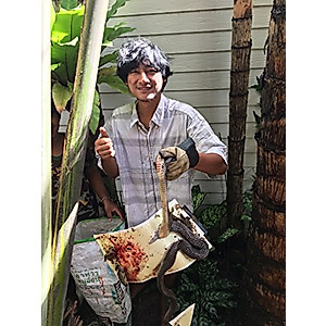 Cahaba Snake Trap (1 PK) Commercial Grade Large/Reusable 32"x10"x3" with (3) Large Catch Inserts Made in USA