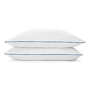 Sleep Innovations Shiloh Medium Memory Foam Mattress, 14 Inches, Queen & Premium Shredded Gel Memory Foam Pillows, Queen (Pack of 2)