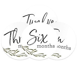 Baby Milestone Signs/Greenery Monthly Milestones/Botanical Infant Photo Prop