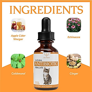 Natural Antibiotics for Cats - Cat Antibiotics - Cat Antibiotic - Pet Antibiotics - Cat Immune Support - Antibiotic for Cats - Cat Multivitamin - Cat UTI Antibiotics - (2 Pack)