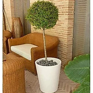 Elly Décor 15 inch Garden Planter Pot with Drainage, Round Wide Modern, Lightweight & Extremely Durable, for Patio Deck Indoor Outdoor Flower, 15" x 13" White