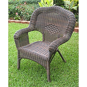International Caravan Furniture Piece Camelback Resin Wicker Patio Chairs (Set of 2)