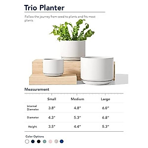 LE TAUCI Plant Pots Indoor, 4.3+5.3+6.8 Inch, Set of 3, Ceramic Planters with Drainage Hole and Saucer, Modern Indoor Flower Pot with Hole Mesh Pad, Gifts for Mom, Classic White