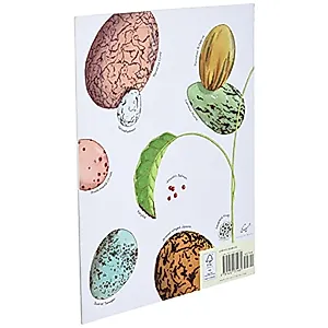 An Egg Is Quiet: (Picture Book, Kids Book about Eggs) (Sylvia Long)