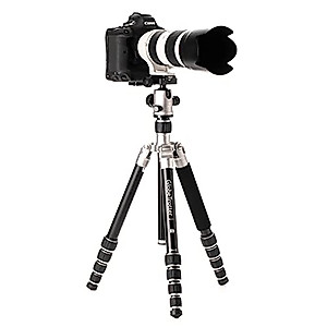Benro MeFOTO Globetrotter Travel Tripod, Ballhead and Monopod in Titanium, 2 Series Aluminum Legs, 4 Leg Sections, Twist Leg Locks, Padded Carrying Case (BMGTATTN)