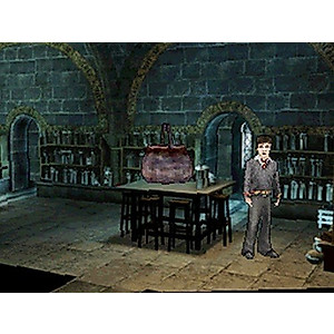 Harry Potter and the Half Blood Prince - Nintendo DS (Renewed)