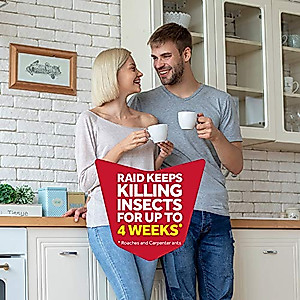 Raid Flying Insect Killer, Kills Flies, Mosquitoes, and Other Flying Insects on Contact, For Indoor and Outdoor Use, Orange Breeze Scent, 20 oz (Pack of 12)