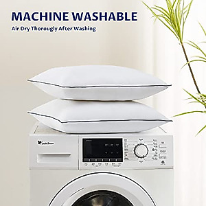 HomeMate Bed Pillows for Sleeping - Queen Size(20''x28'') Set of 2 Allergy Friendly Microfiber Shell Fluffy Down Alternative Filling Breathable Pillow Suitable Back Stomach or Side Sleepers, White