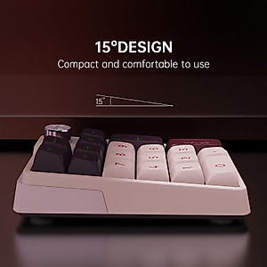 Mechanical Wireless Rechargeable Numeric Keypad, Gasket Bluetooth 5.0/2.4ghz/Wired Hot Swappable19 Keys Numpad, with Poron Foam, Aluminum Alloy Knob (Purple-Pink)