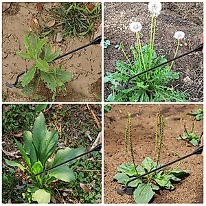 Young4us Garden Weed Pulling Tool Uprooting Weeding Tool, 4 Teeth Weed Puller Tool Manganese Steel Garden Weeder Tool for Vegetable Gardening Planting (Black, 2 Pack, 16 inches)