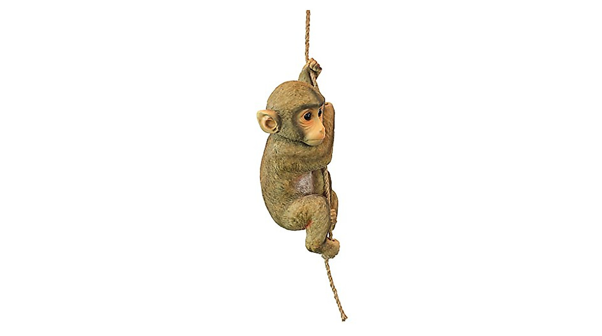 Chico The Chimpanzee Baby Monkey Statue - 16 Inches