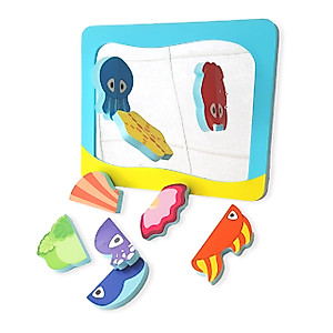 Edushape 525003 Look 'n Sea Development Activity (Pack of 20) Toy