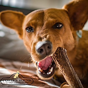 Powder Hound Pet Co. Elk Antler Dog Chew, Great for Aggressive Chewers, All-Natural, Premium A/#1 Grade Elk Antlers, Naturally Shed in USA, Cruelty Free Dog Bones, Will Not Splinter (Small)